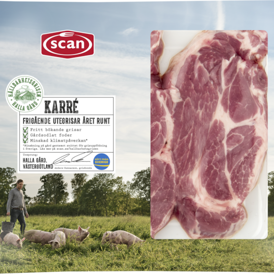 Hel grillad karré - Scan