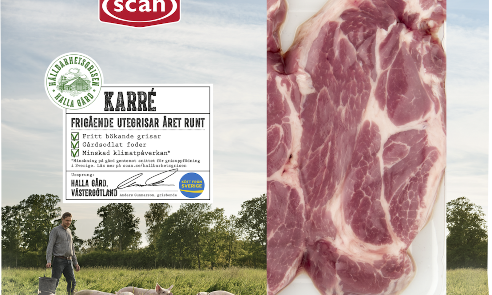 Fläskkött | Allt om styckdetaljer av gris | Köttguiden - Scan - Scan